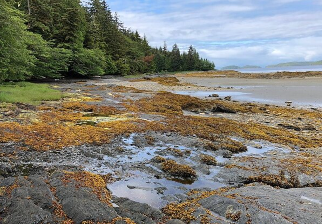 Ketchikan Electric Bike and Hike Tour | Alaska Shore Excursions