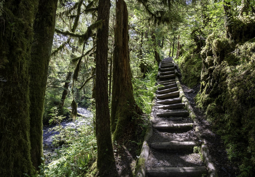 Ketchikan Mountain Lake Trek to Avalanche Chute | Alaska Shore Excursions
