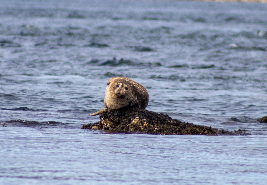 Ketchikan Ocean Wilderness Expedition | Alaska Shore Excursions