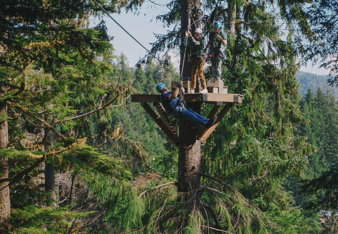 Ketchikan Rainforest Canopy & Zipline Adventure | Alaska Shore Excursions