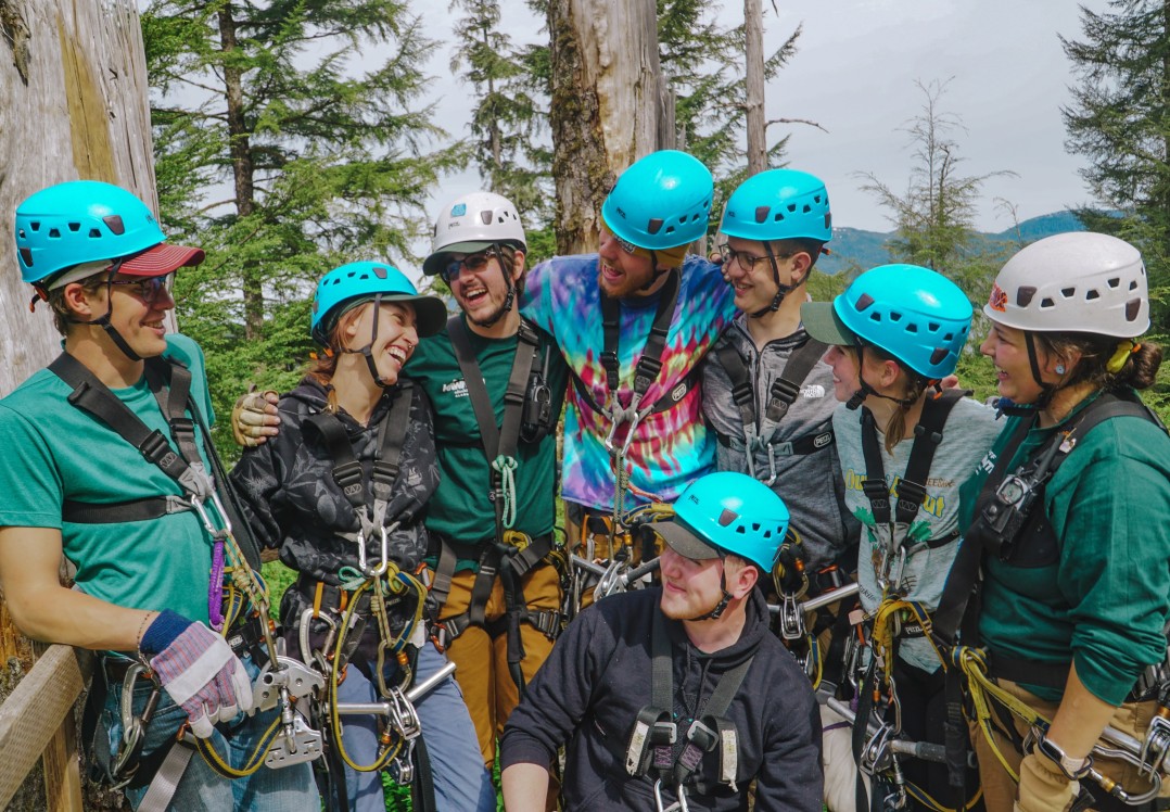 Ketchikan Rainforest Canopy & Zipline Adventure | Alaska Shore Excursions