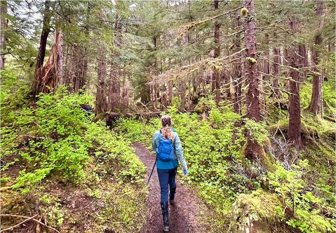 Sitka Tongass National Forest Guided Hike | Alaska Shore Excursions