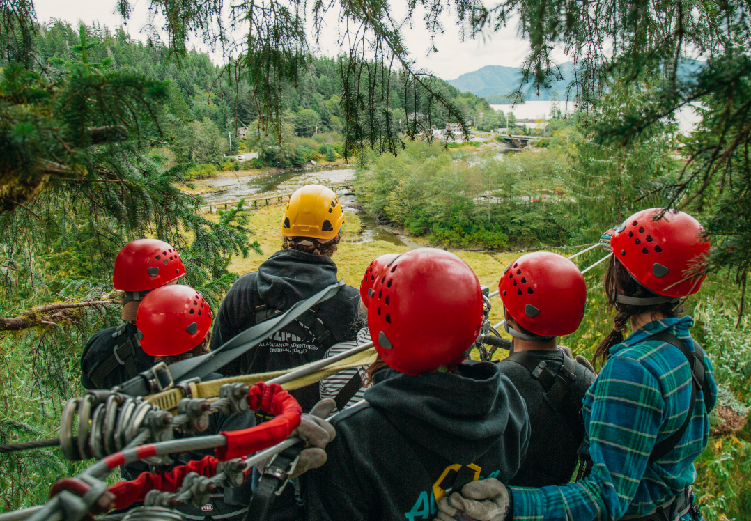 Ketchikan Rainforest Canopy & Zipline Adventure | Alaska Shore Excursions