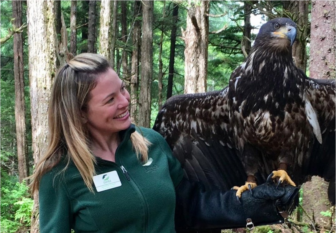 Sitka Premium Scenic Tour: Fortress of the Bear, Raptor Center & Totem ...