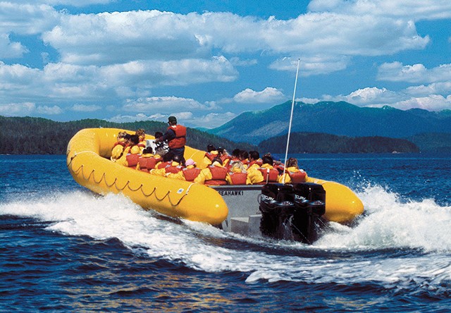 Ketchikan Rainforest Island Adventure | Alaska Shore Excursions