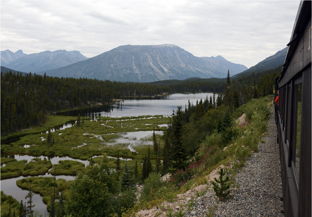 Bennett Lake Scenic Railroad Journey Train Tour | Alaska Shore Excursions