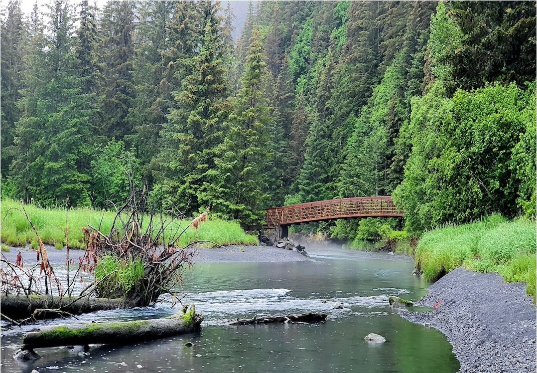 Seward Tonsina Point Kayak Tour | Alaska Shore Excursions