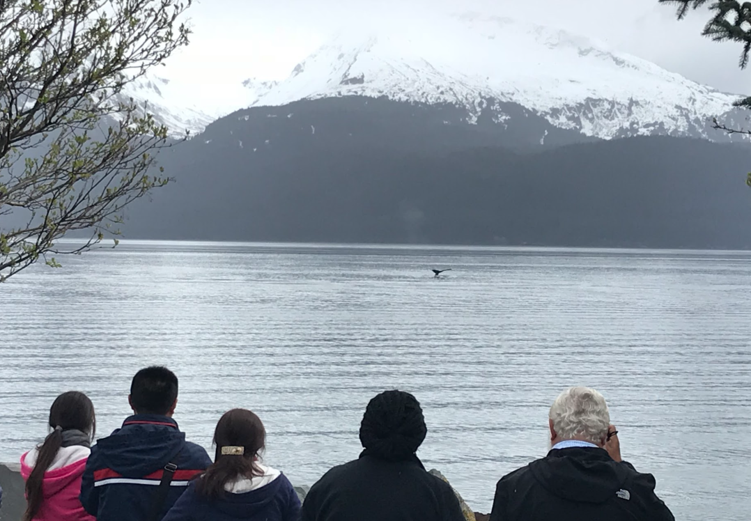 Seward Deluxe Sightseeing Tour | Alaska Shore Excursions