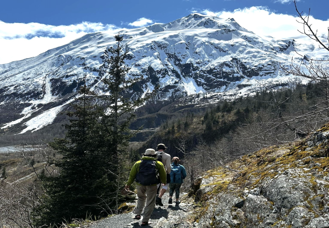 Seward Marmot Meadows Hike | Alaska Shore Excursions