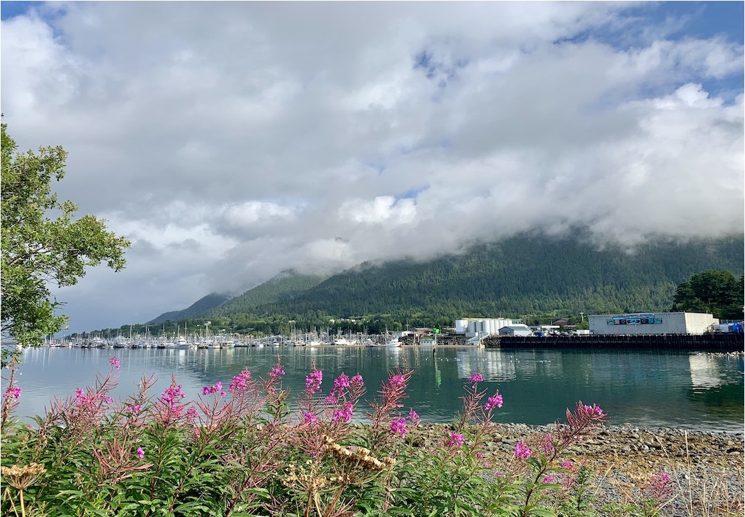 Sitka Wildlife Cruise | Alaska Shore Excursions