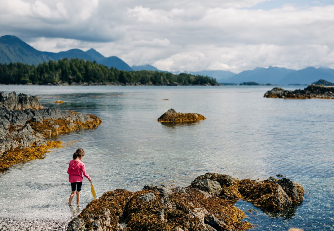Sitka Remote Island & Wildlife Boat Adventure | Alaska Shore Excursions