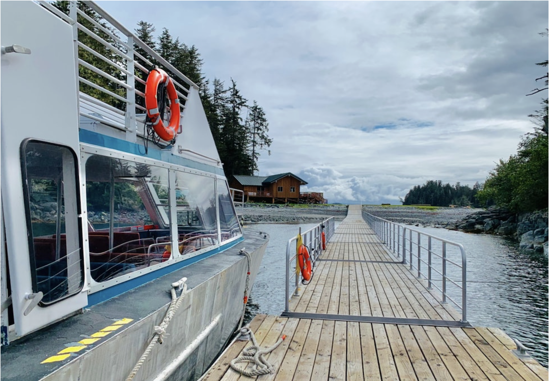 Sitka Wildlife Cruise & Alaskan Feast at Fin Island Lodge | Alaska ...