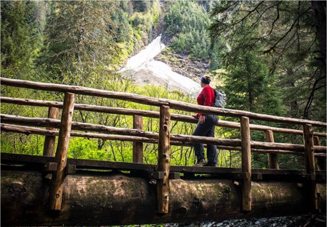 Sitka Tongass National Forest Guided Hike | Alaska Shore Excursions