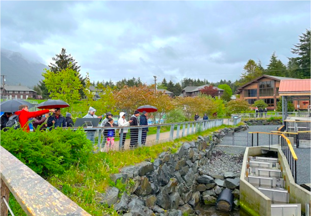 Guided Sitka Walking Tour | Alaska Shore Excursions