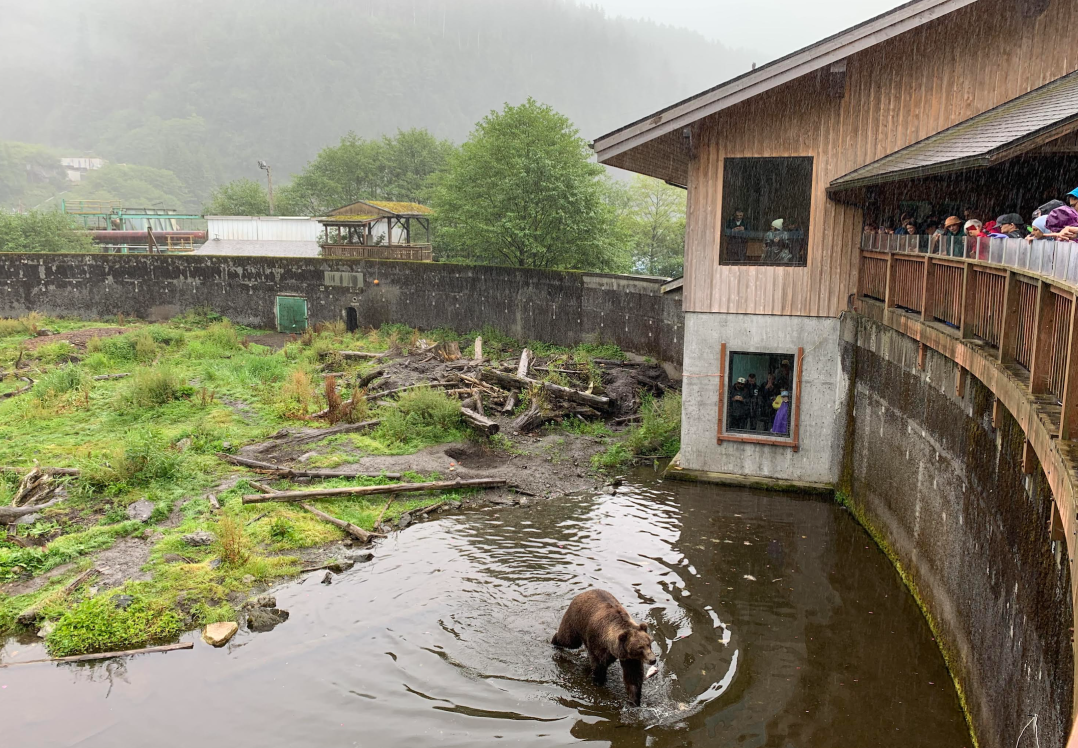Sitka Scenic Private Tour | Alaska Shore Excursions