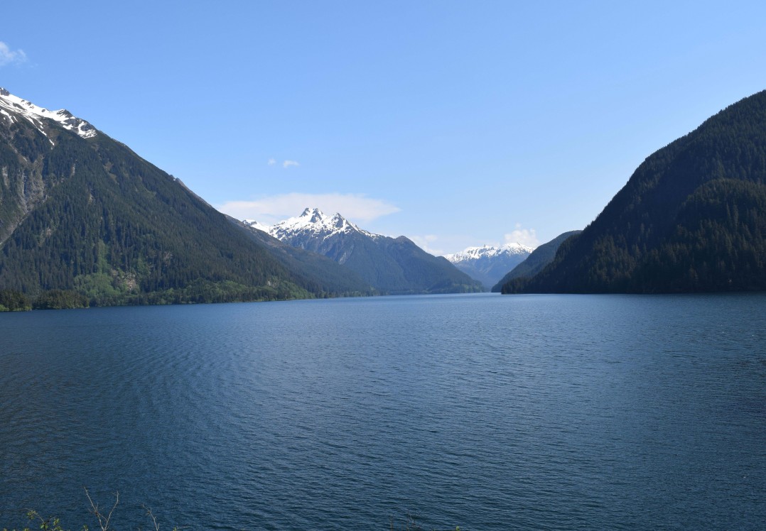 Sitka Fortress of the Bears & Totem Park Adventure | Alaska Shore ...