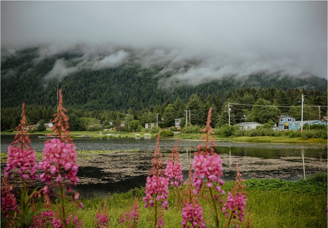 Sitka Small Group Scenic Sightseeing Tour | Alaska Shore Excursions