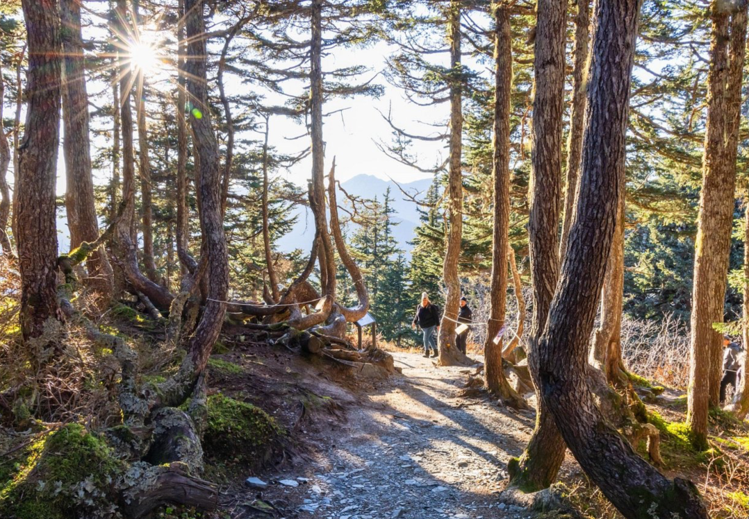 Juneau Trails and Ale Tour & Goldbelt Tram | Alaska Shore Excursions