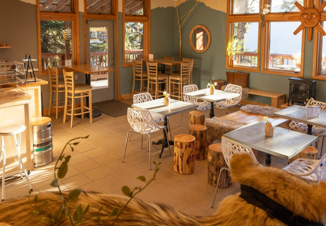 Juneau Trails and Ale Tour & Goldbelt Tram | Alaska Shore Excursions