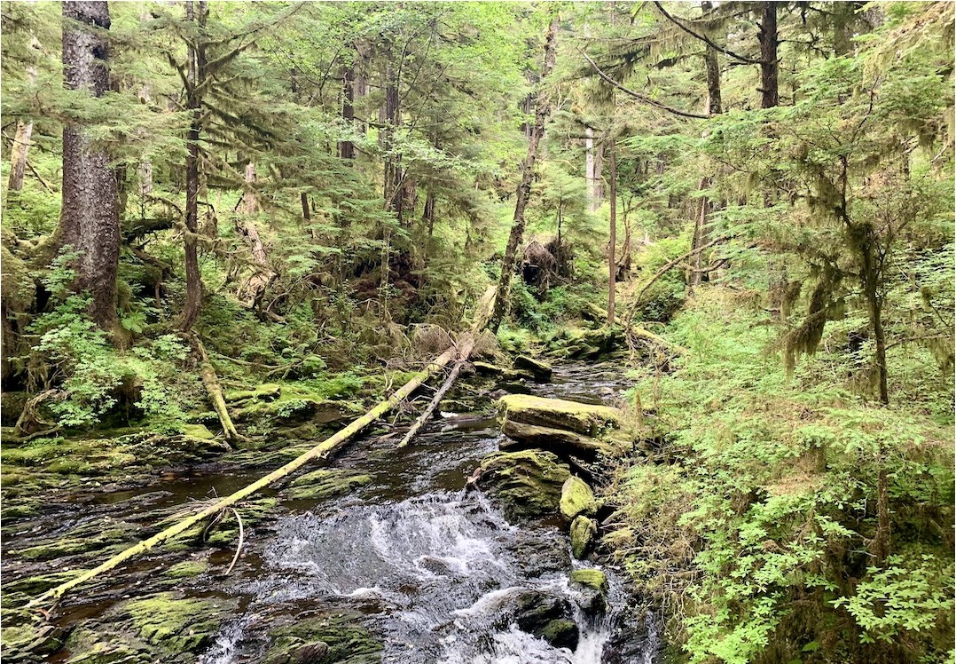 Ketchikan Electric Bike and Hike Tour | Alaska Shore Excursions