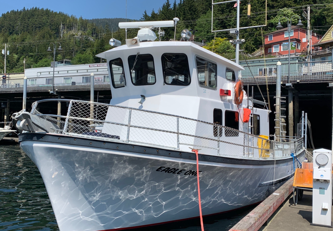Ketchikan Wildlife, Sightseeing and Whale Watching Tour | Alaska Shore ...