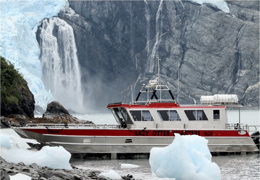Whittier Prince William Sound Wildlife & Glacier Cruise | Alaska Shore ...