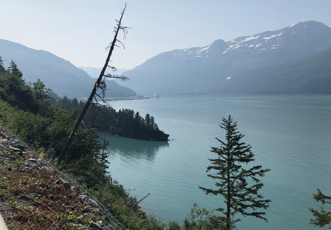 Bus Transfer: Whittier to Anchorage Cultural Exploration | Alaska Shore ...