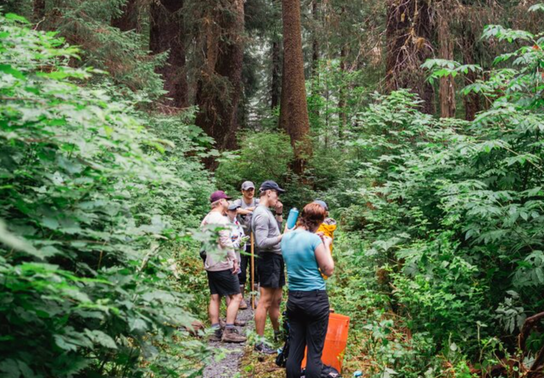 Sitka Alaskan Wilderness Trail Adventure Hike | Alaska Shore Excursions