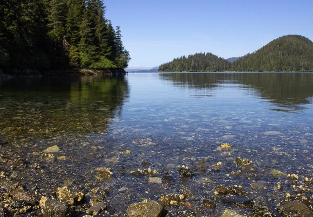 Sitka Alaskan Wilderness Trail Adventure Hike | Alaska Shore Excursions