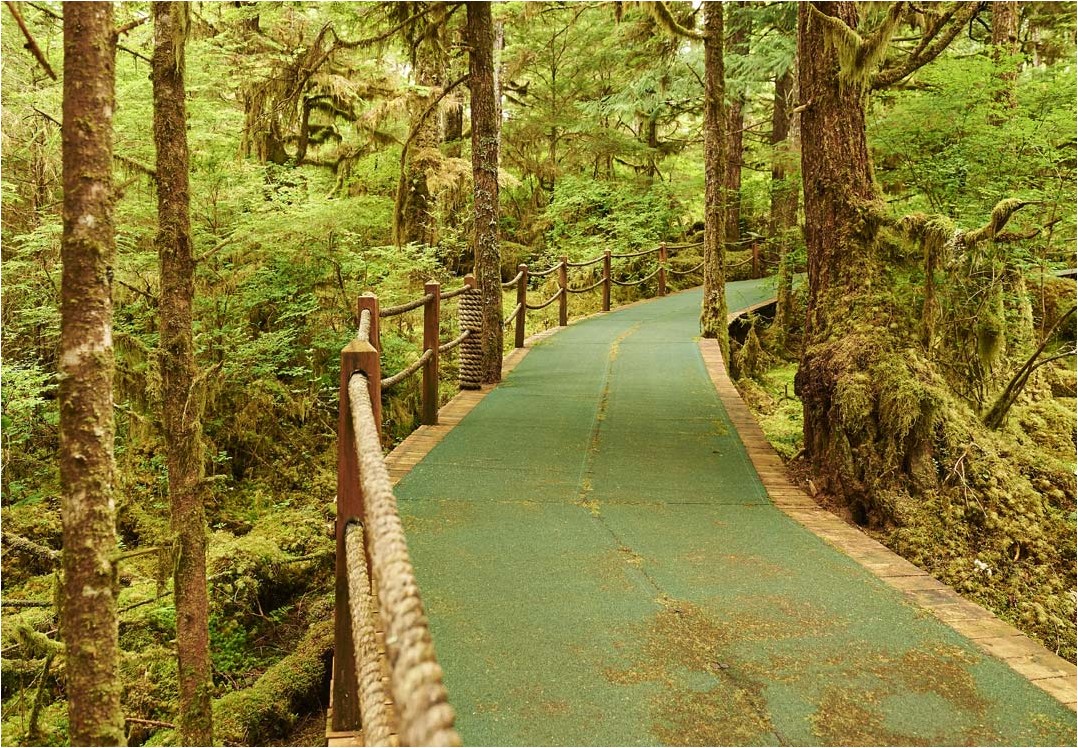 Silverking Lodge Adventure & Seafeast | Alaska Shore Excursions