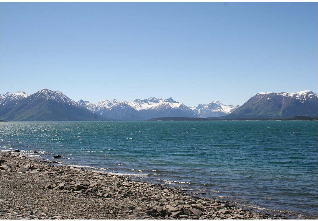 Bennett Lake Scenic Railroad Journey Train Tour | Alaska Shore Excursions