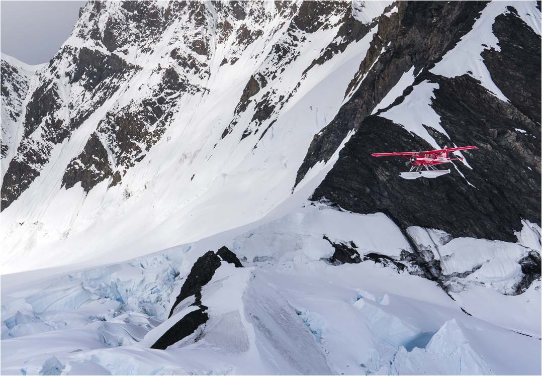 Anchorage Glacier & Wildlife Flightseeing Tour | Alaska Shore Excursions