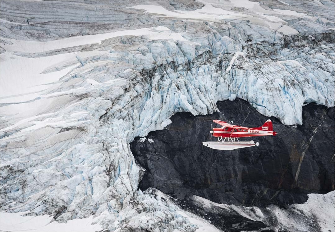 Anchorage Glacier & Wildlife Flightseeing Tour | Alaska Shore Excursions