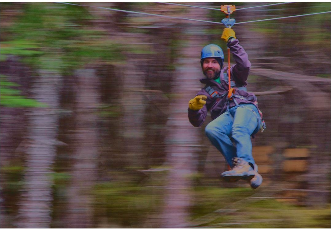 Grizzly Falls Ziplining Adventure | Alaska Shore Excursions