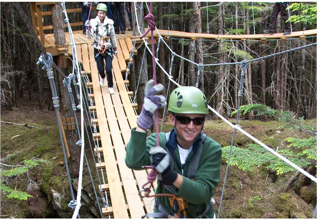 Grizzly Falls Ziplining Adventure | Alaska Shore Excursions