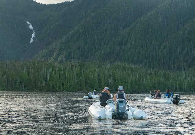 Ketchikan Wilderness Zodiac Quest | Alaska Shore Excursions
