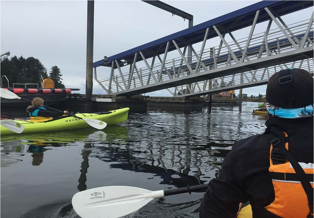 Sitka Sound Kayak Adventure | Alaska Shore Excursions