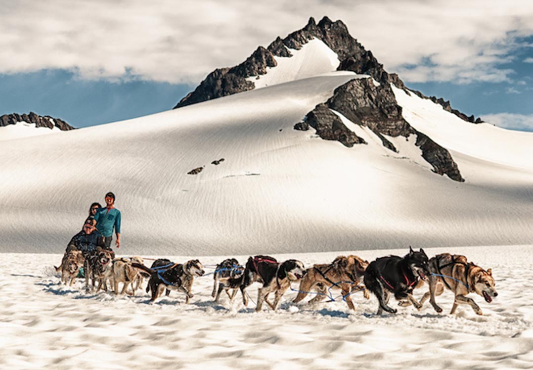 Seward Dog Sledding on Glacier & Helicopter Tour | Alaska Shore Excursions