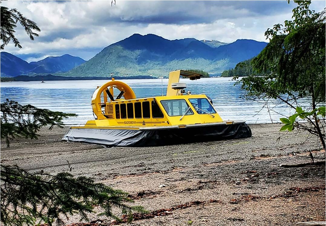 Ketchikan Hovercraft Eco Adventure & Wildlife Viewing | Alaska Shore ...