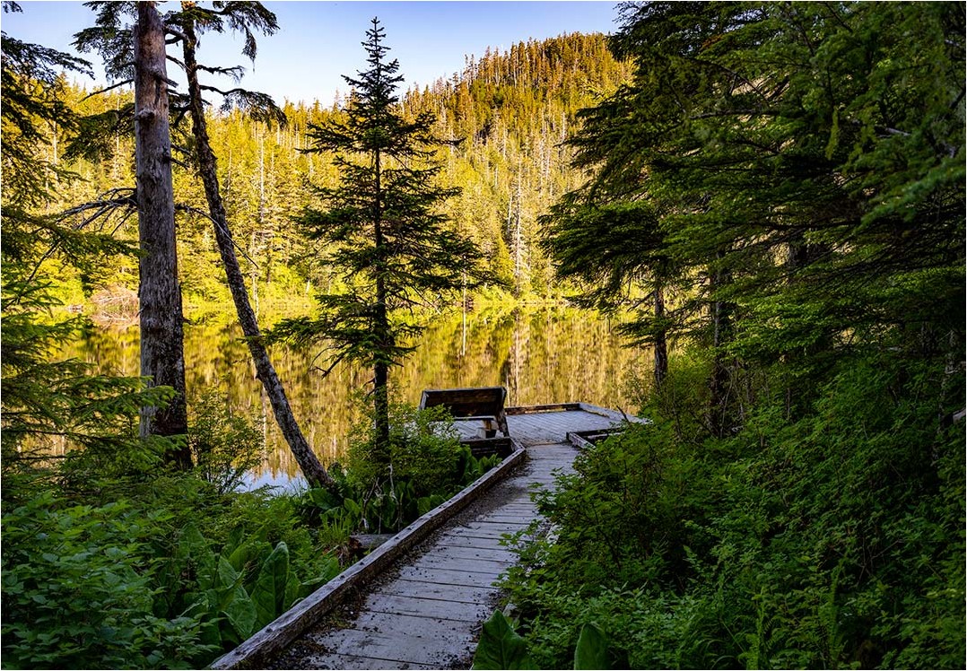 Ketchikan Mountain Lake Trek to Avalanche Chute | Alaska Shore Excursions