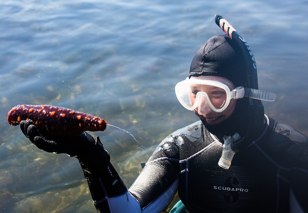 Ketchikan Mountain Point Snorkeling Adventure | Alaska Shore Excursions