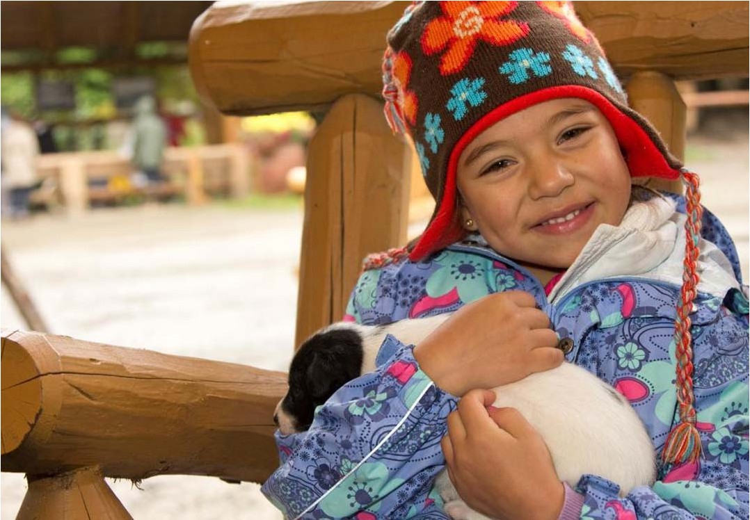 Juneau Musher's Camp & Sled Dog Discovery | Alaska Shore Excursions