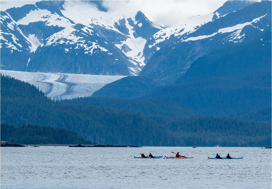 Paddle with Whales Kayak Adventure | Alaska Shore Excursions