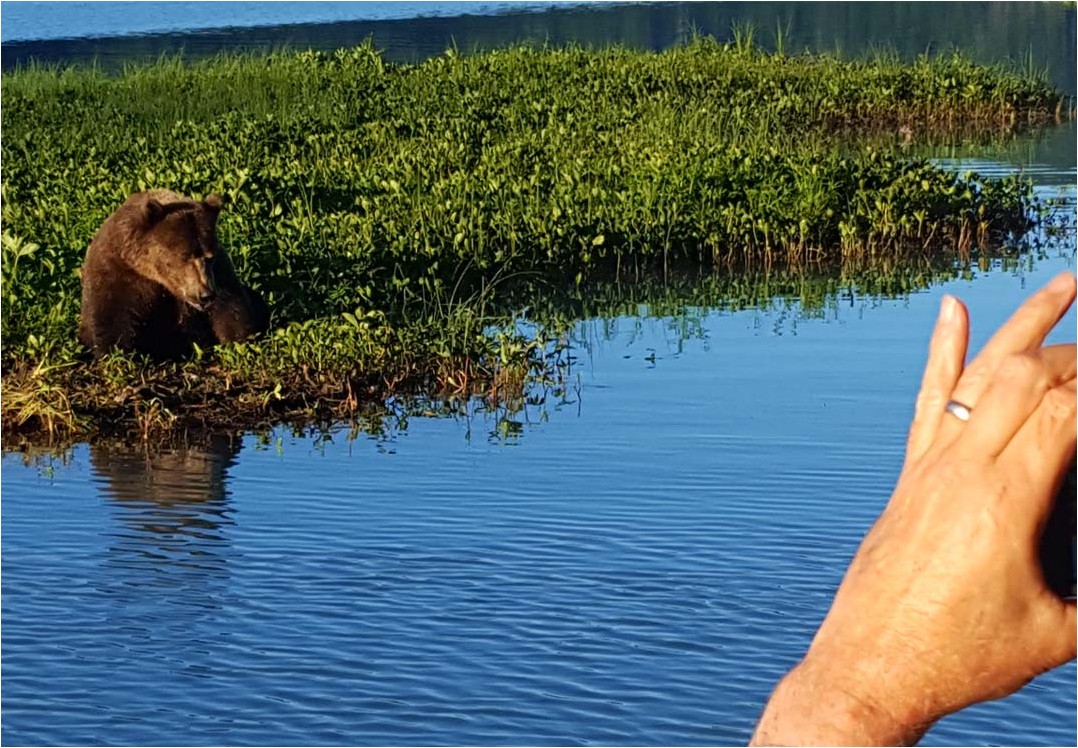 Anchorage Redoubt Bay Lodge Bear Viewing | Alaska Shore Excursions